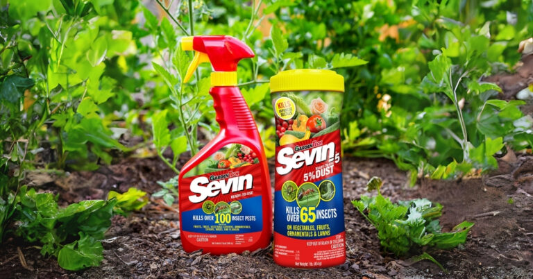 Does Sevin Kill Spider Mites? | Spiders Planet